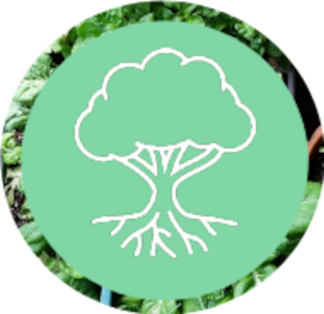 Sponsorship - Golden Beach Community Garden